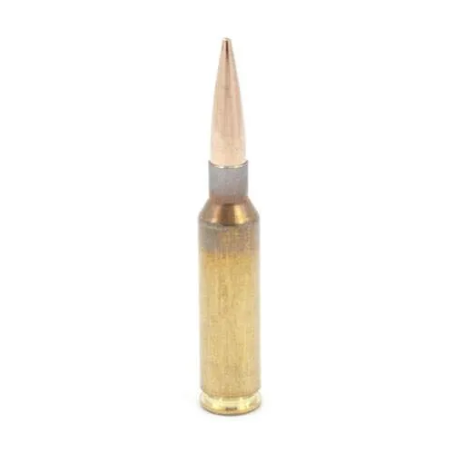 Ammunition - Precision Reloading