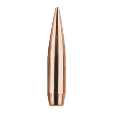 Rifle Bullets - Precision Reloading