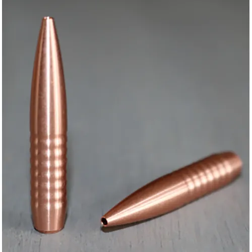 Rifle Bullets - Precision Reloading