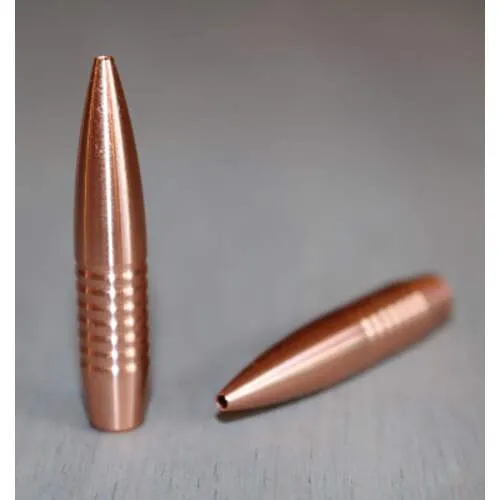 Rifle Bullets - Precision Reloading