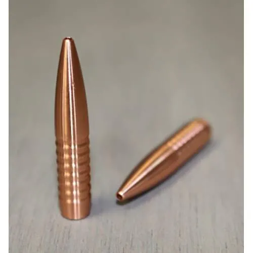Rifle Bullets - Precision Reloading