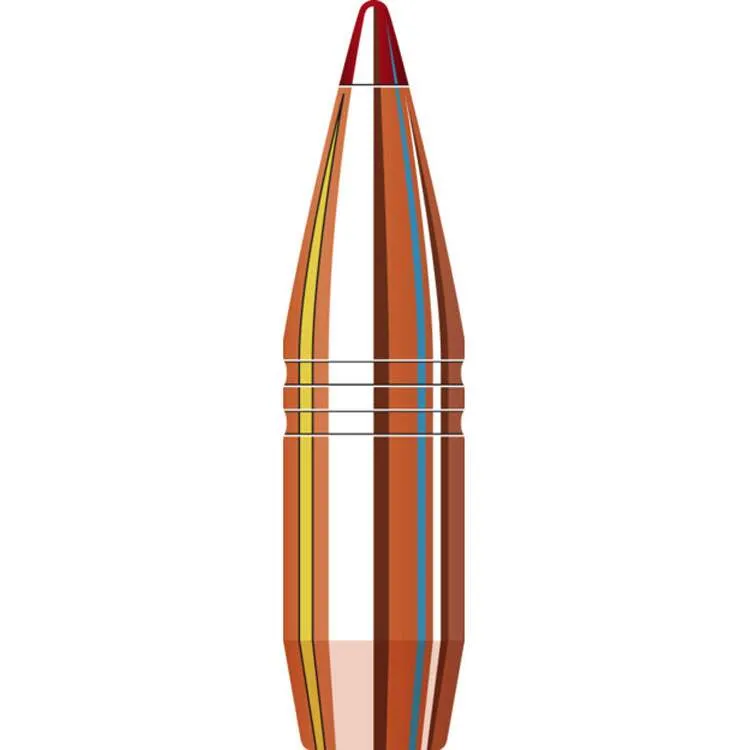Rifle Bullets - Precision Reloading