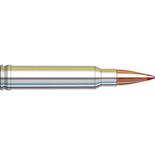 Rifle Ammunition - Precision Reloading