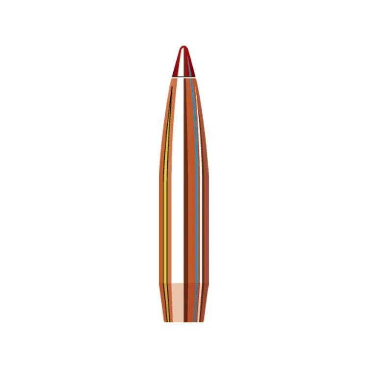 Rifle Bullets - Precision Reloading