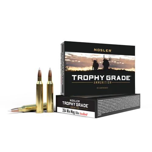 Ammunition - Precision Reloading