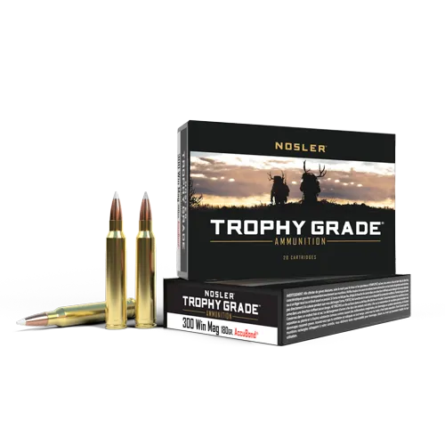 Ammunition - Precision Reloading