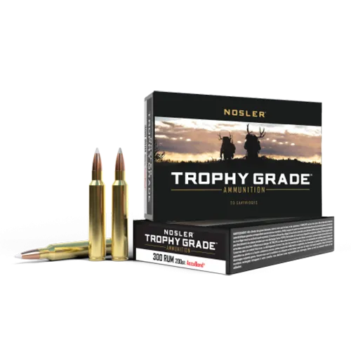 Ammunition - Precision Reloading