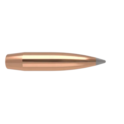 Bullets - Precision Reloading