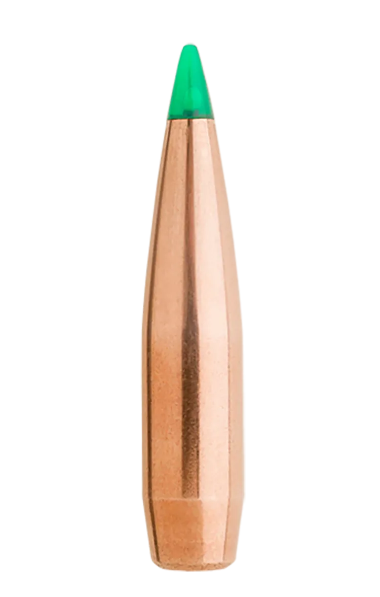 Rifle Bullets - Precision Reloading