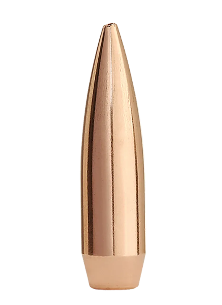 Rifle Bullets - Precision Reloading