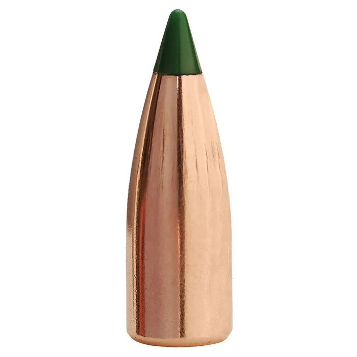Rifle Bullets - Precision Reloading