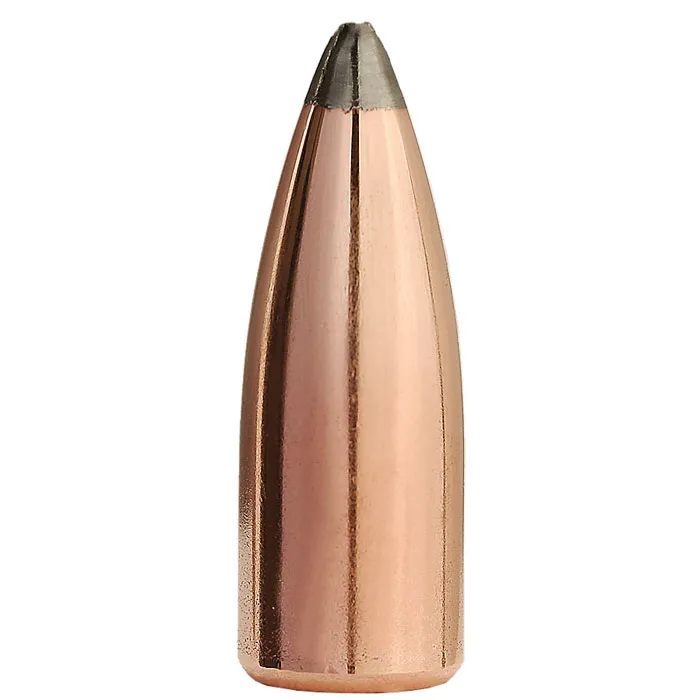 Bullets - Precision Reloading