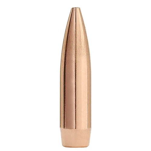 Rifle Bullets - Precision Reloading