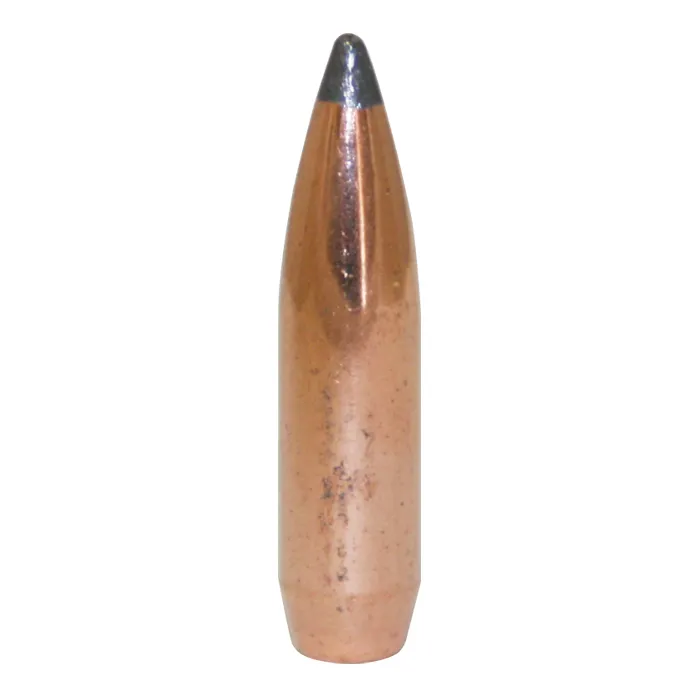 Bullets - Precision Reloading
